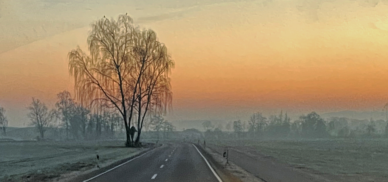 Es wird langsam heller morgens Foto & Bild | motive, natur, world Bilder auf fotocommunity