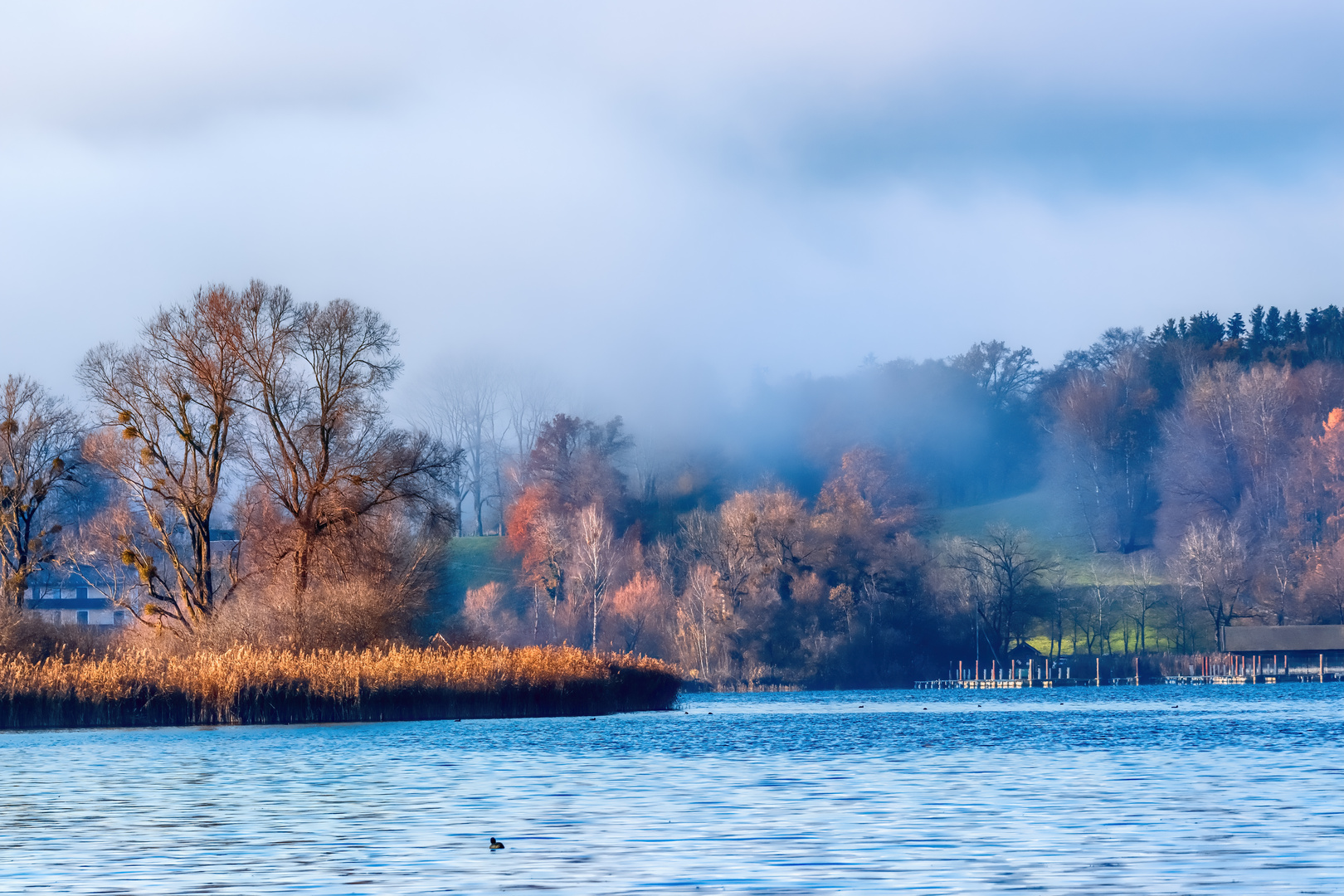 es wird neblig Foto & Bild | nature, natur, herbst Bilder auf fotocommunity