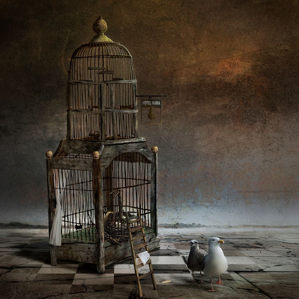 Es wird Zeit Foto & Bild | fotomontage, composing , composing Bilder auf fotocommunity