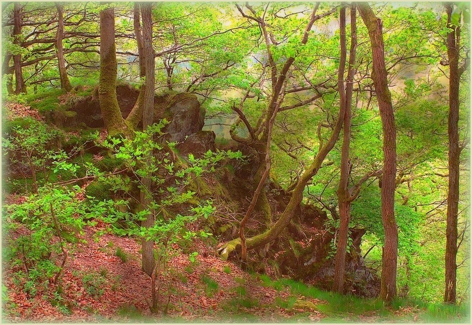 Escarpement rocheux en forêt des Ardennes photo et image | europe ...