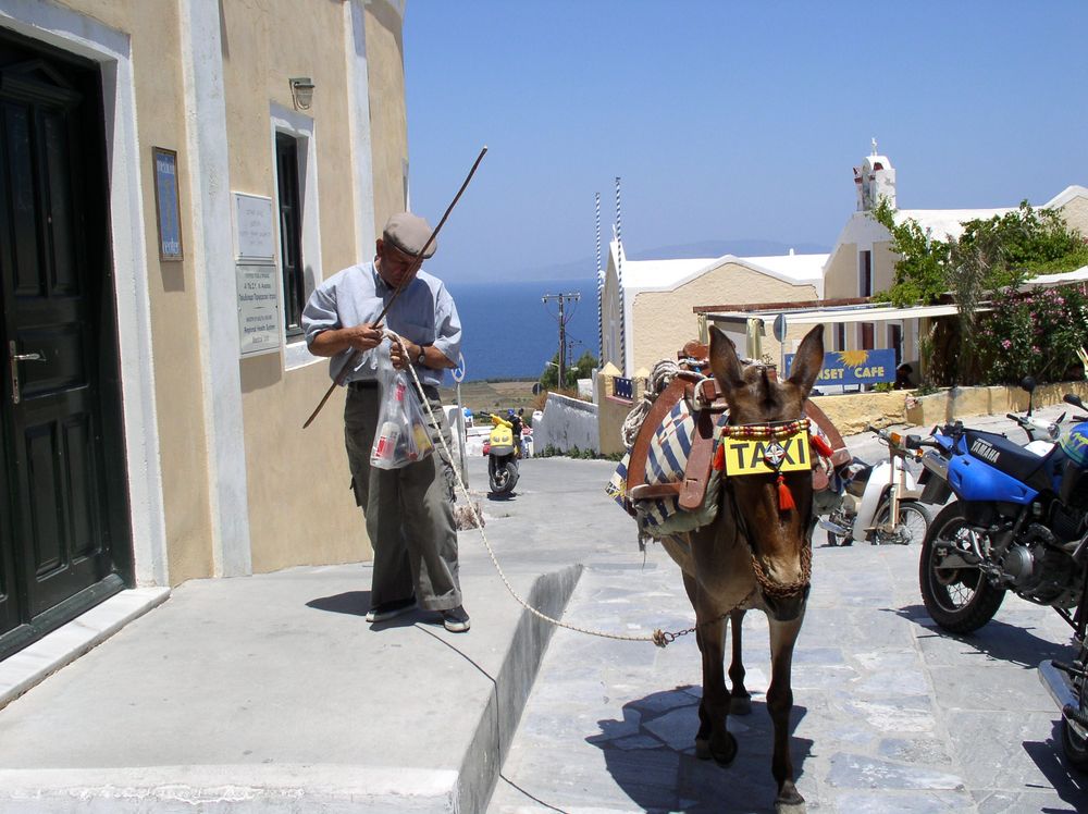 Esel-taxi Foto & Bild | urlaub, city, street Bilder auf fotocommunity