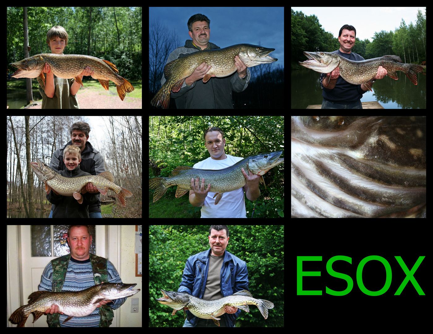 ESOX Foto & Bild | sport, angeln fliegenfischen, fisch und fun Bilder ...