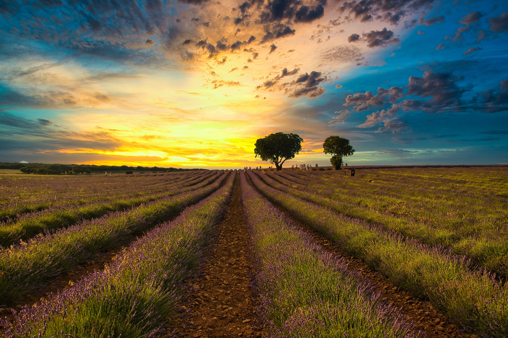 Esplendor Imagen & Foto | outdoor, natur, naturaleza Fotos de fotocommunity