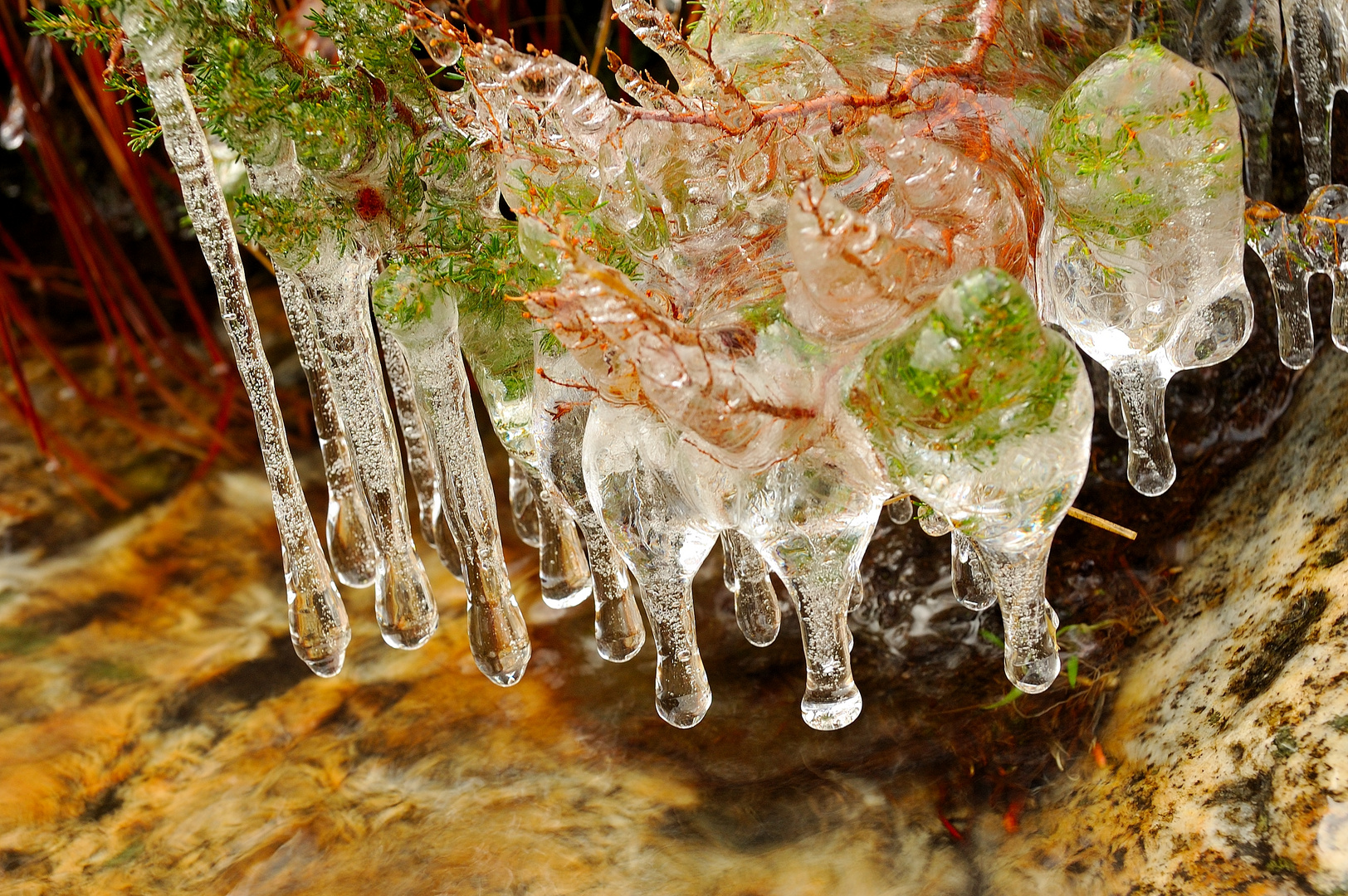 Estalactitas Imagen & Foto | estaciones del año, invierno, naturaleza ...