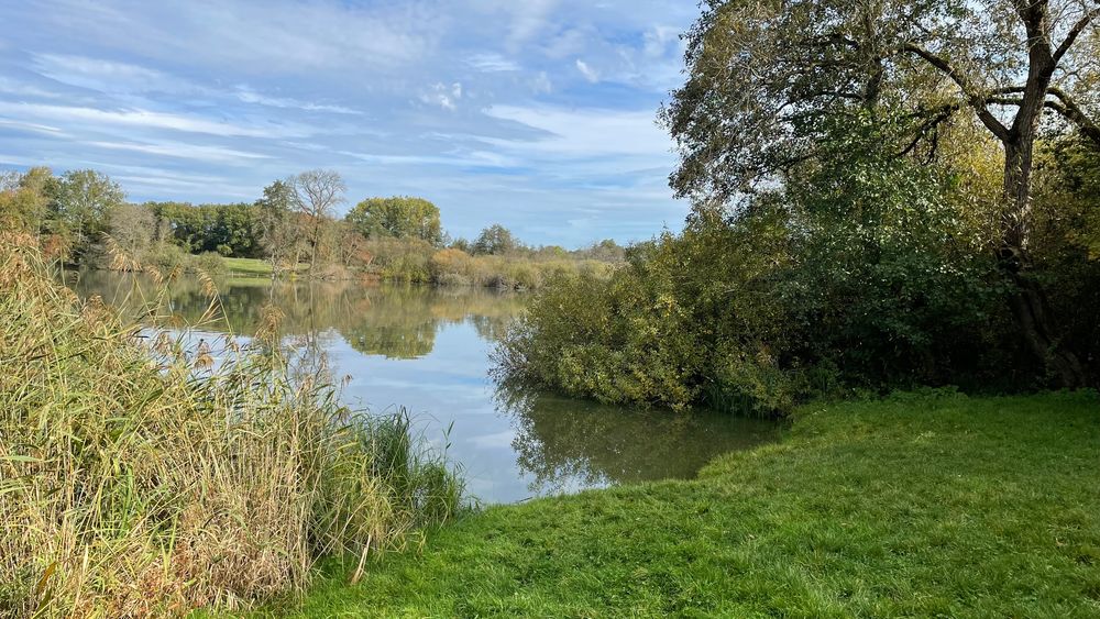 Etang des Forges (Belfort) Foto & Bild | landschaft, garten ...