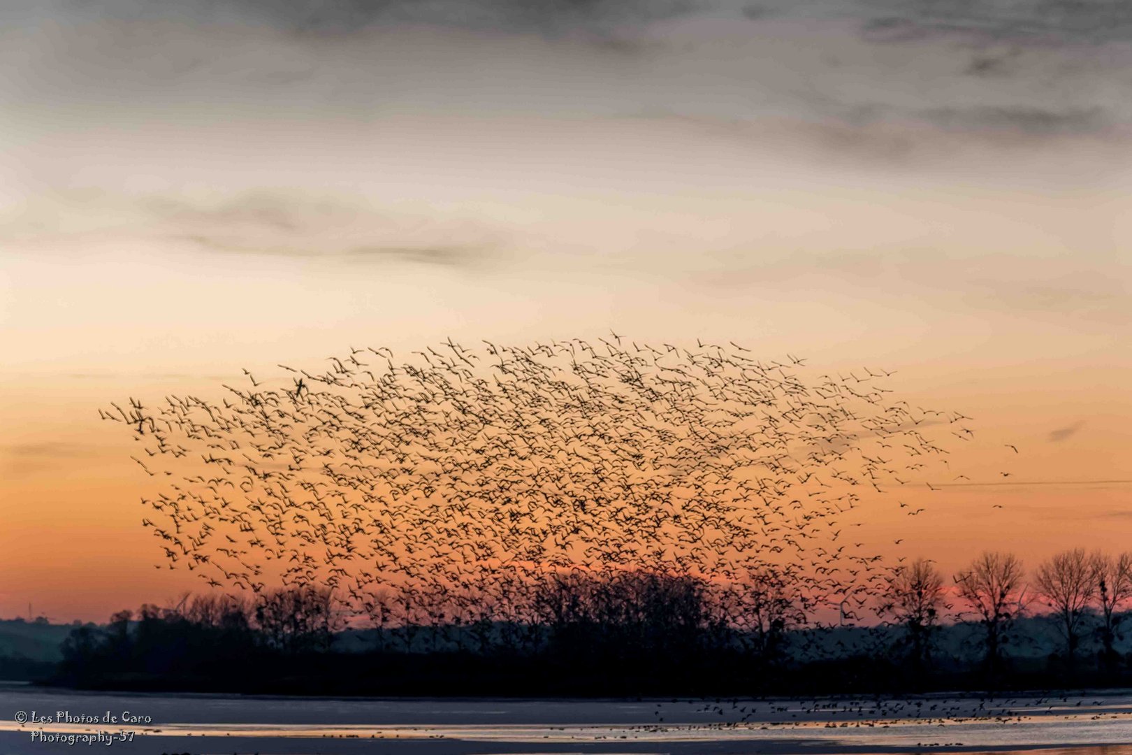 Etang du Bischwald photo et image | paysages, paysages de campagne ...
