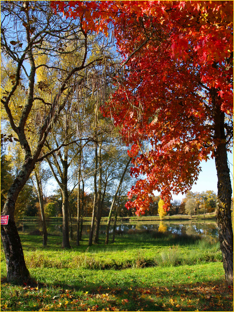 Eté indien dans le Gers photo et image | paysages, animations ...