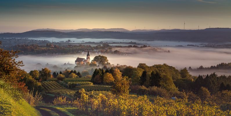 Ettenheim Bilder & Fotos