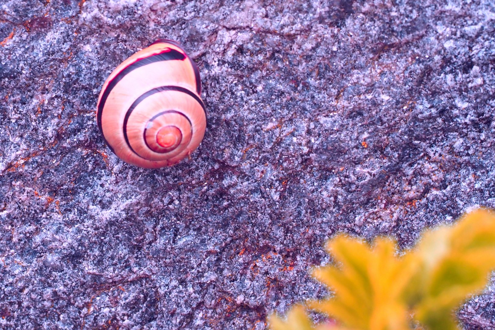 etwas farbe an trüben tagen Foto & Bild | projekte, 7 - sonntags abstrakt, thementage Bilder auf ...