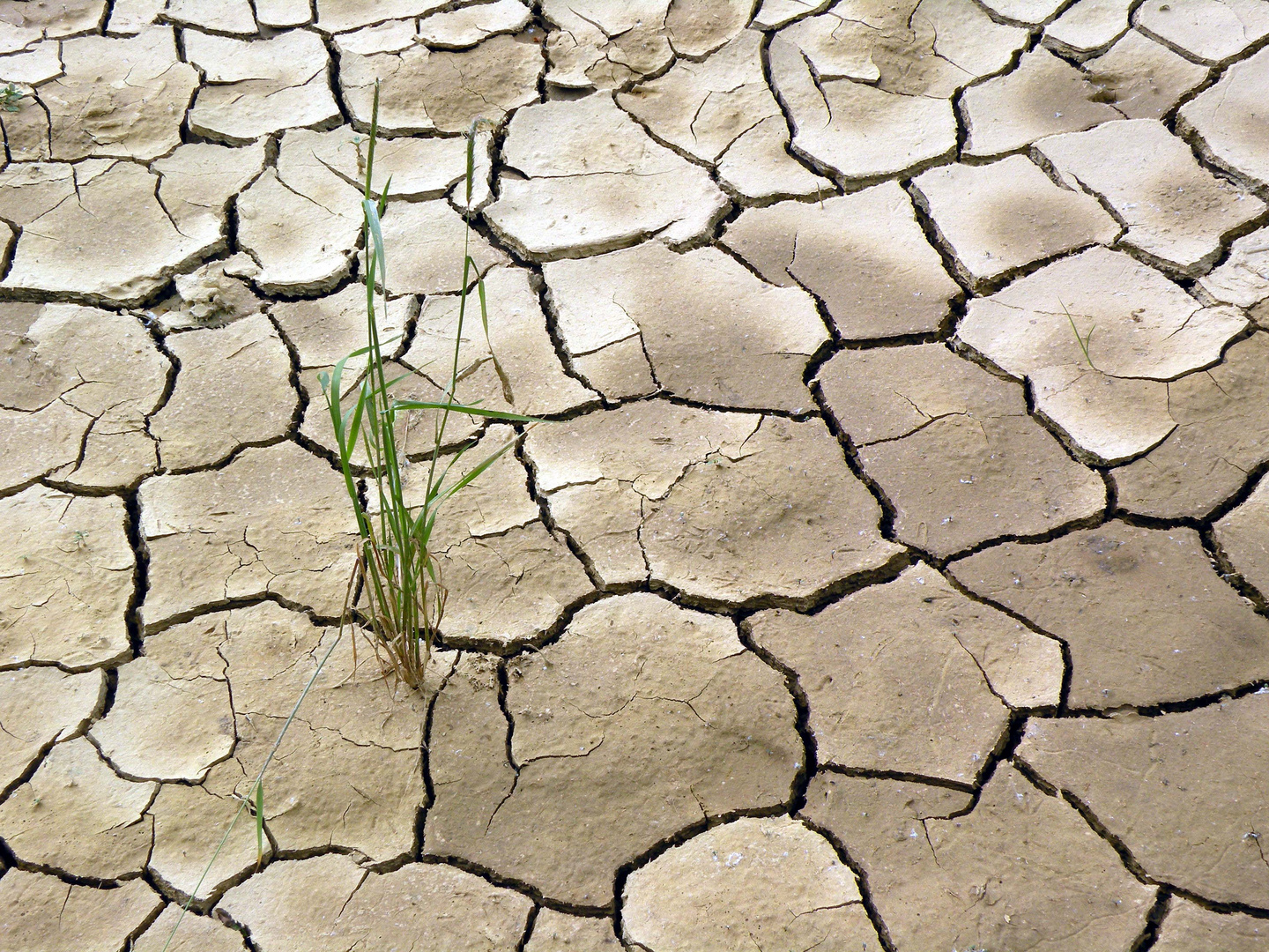 Etwas Grün Foto & Bild | landschaft, bach, fluss & see, outdoor Bilder ...