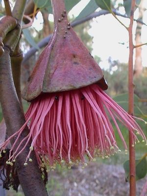 Martin Sebesta - Fotos & Bilder - Fotograf aus Berlin, Deutschland ...