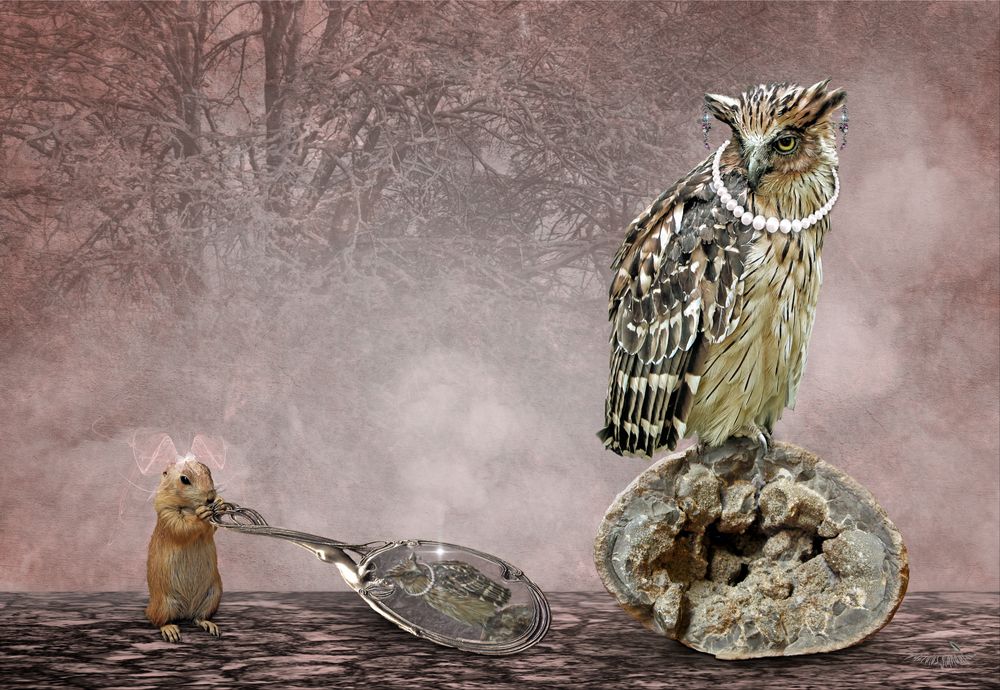 Eulenspiegelei Foto & Bild | fotomontage, fantasy mystery, surreal Bilder auf fotocommunity