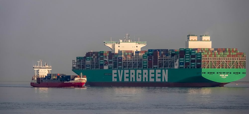 " EVER ACE " ... Foto & Bild | Bilder auf fotocommunity