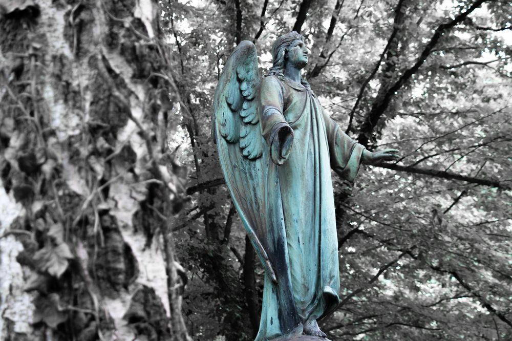 Ewige Geduld Foto & Bild | sonstiges, natur Bilder auf fotocommunity