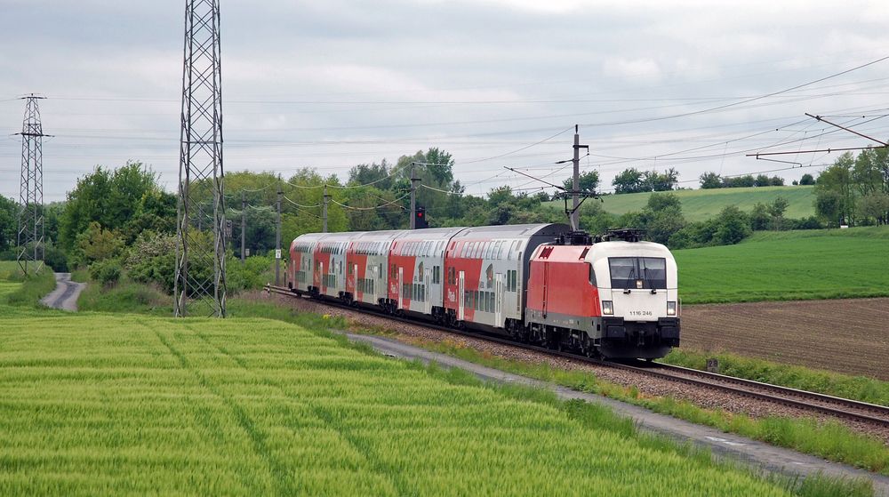 ex-BUNDESHEER-Taurus 1116 246 Foto & Bild | züge ...