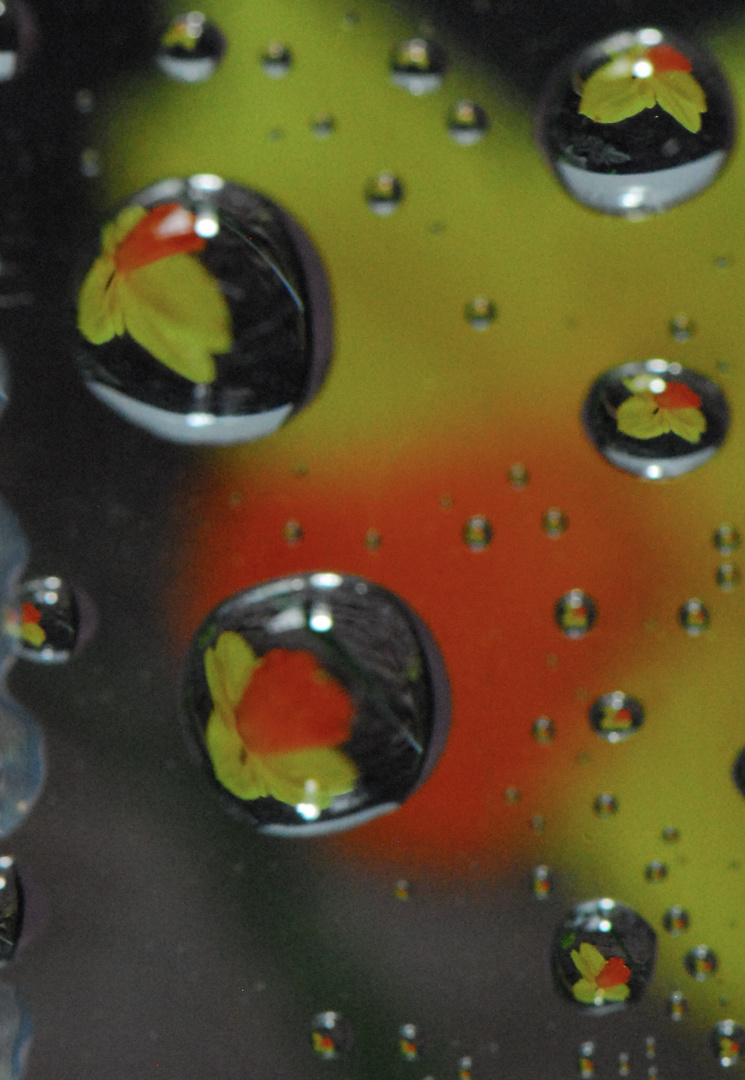 Experiment 01 Foto & Bild | fotos, spezial, pflanzen Bilder auf ...