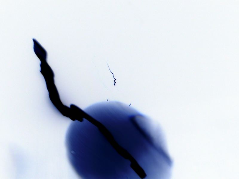 Experiment Foto & Bild | abstraktes, quer beet, motive Bilder auf ...