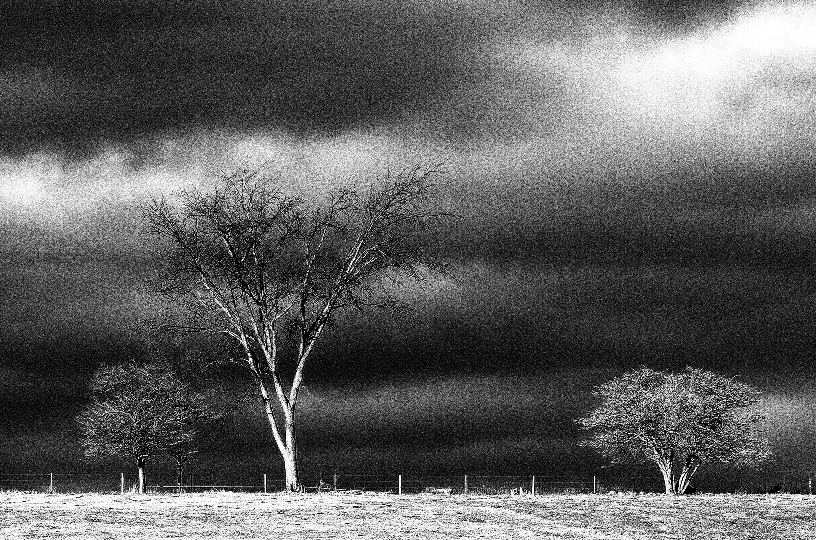 High Contrast Photography Landscape