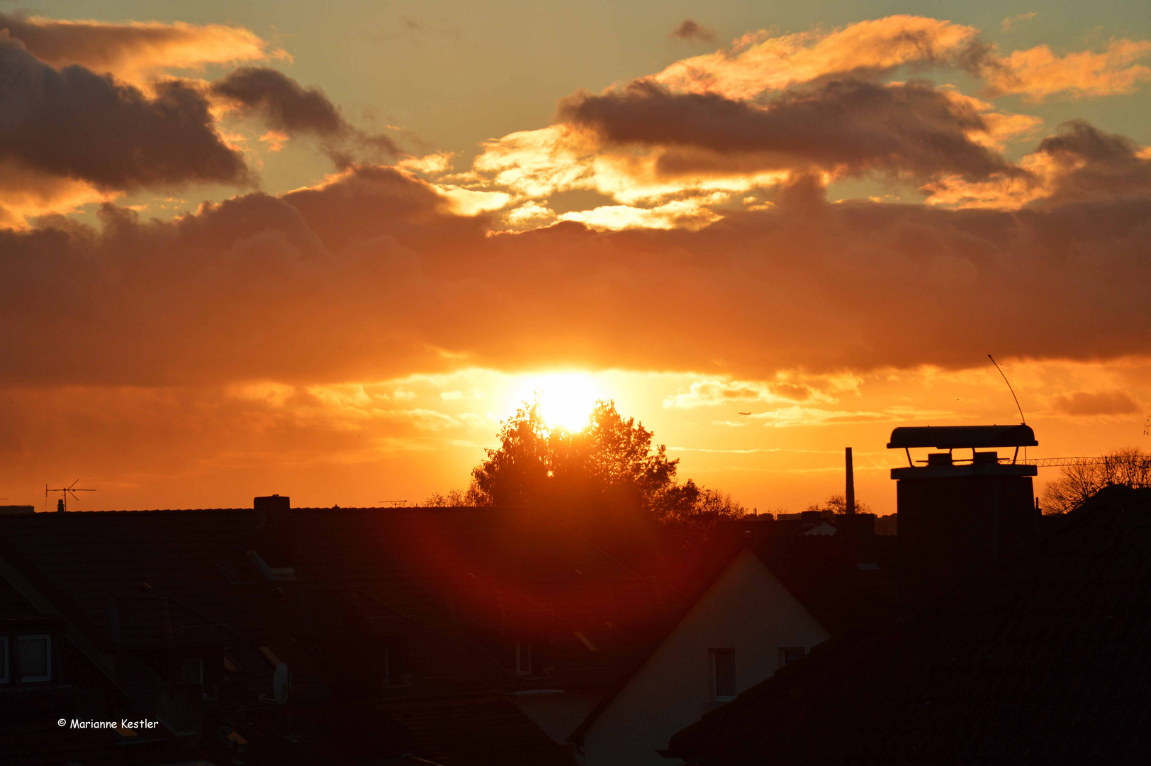 Exploding Passion Foto & Bild | landschaft, jahreszeiten ...