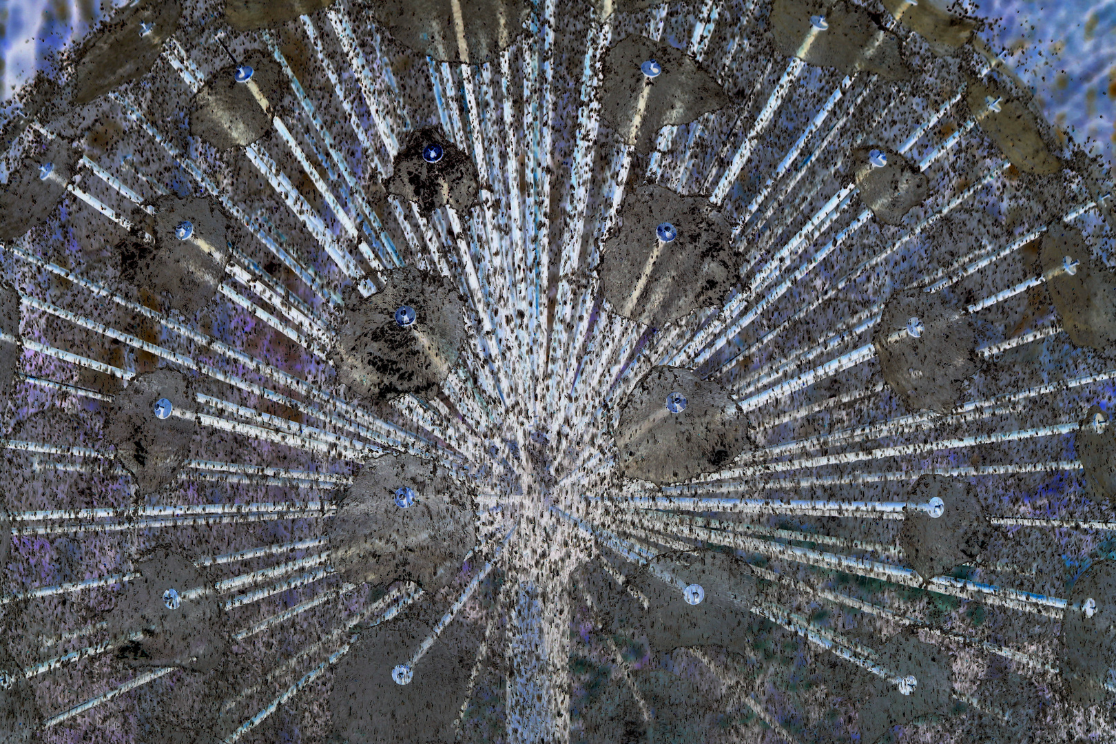 Explosion Foto & Bild | experimente, abstraktes, bearbeitungs ...