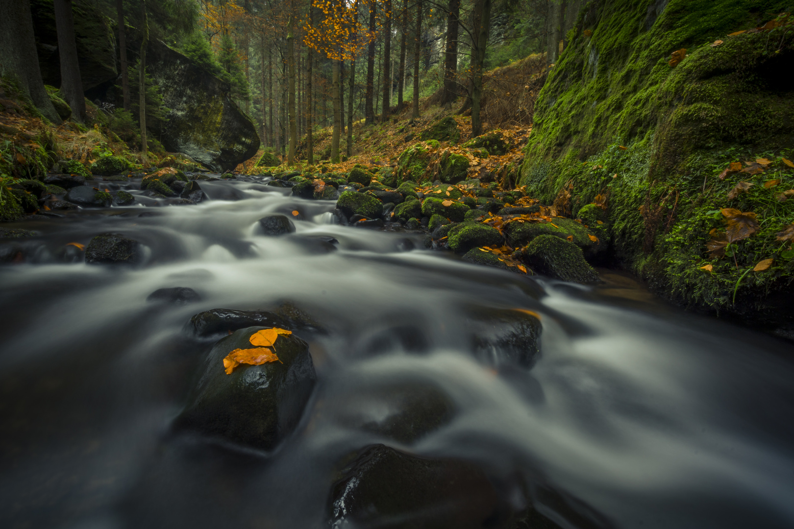 Eye-Catcher Foto & Bild | pr8volle momente, wald, wasser Bilder auf ...