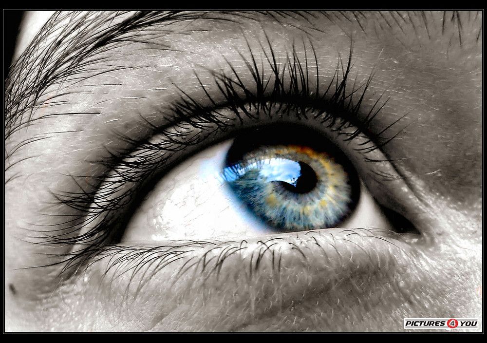 Eye of the Tini again Foto & Bild | fotos von teilen des gesichts ...