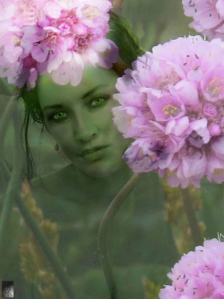 Eyes of Nature Foto & Bild | composing, digiart, fantasy Bilder auf ...