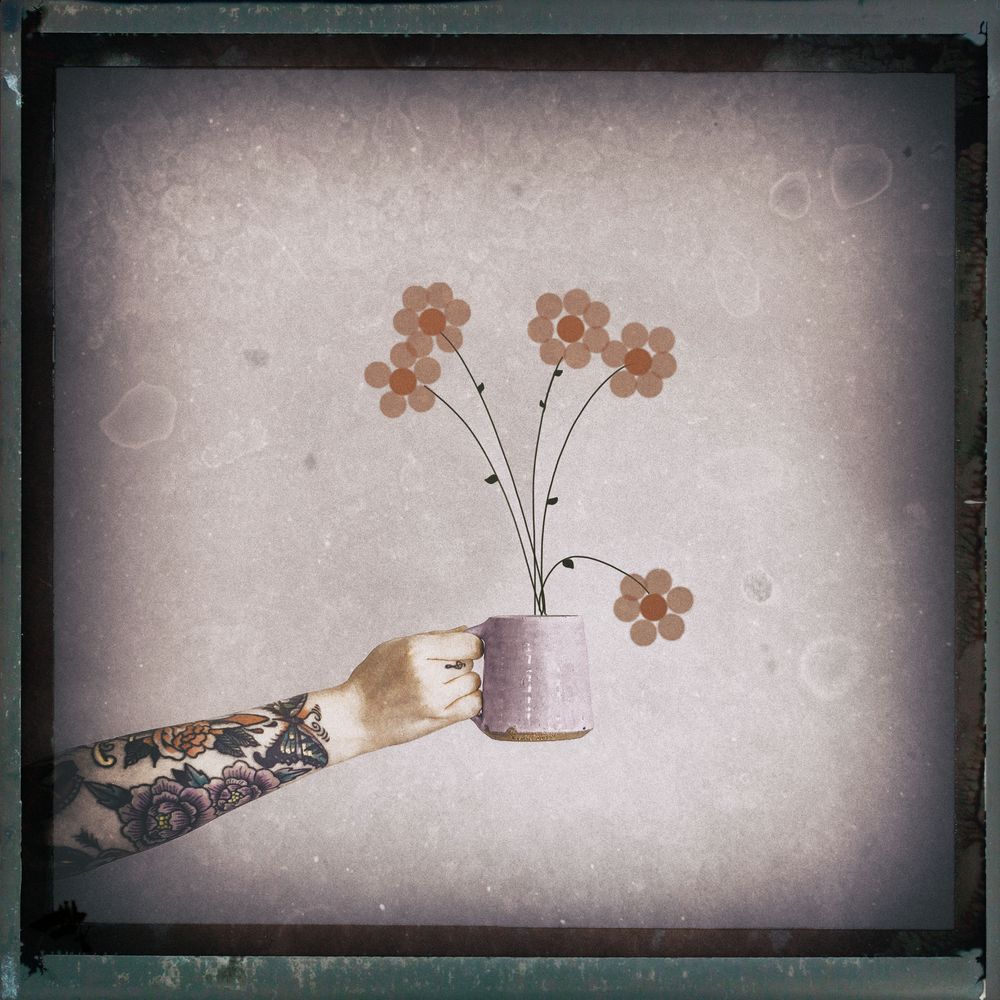 f L o W E r S Foto & Bild | art, flowers, spezial Bilder auf fotocommunity