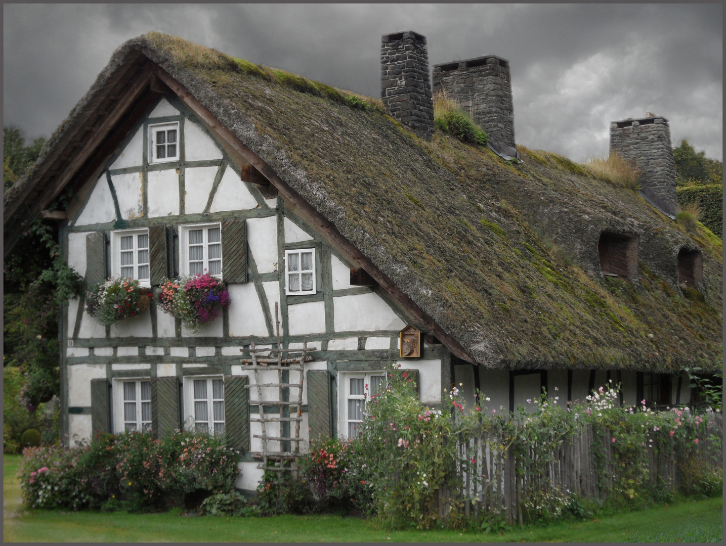 Fachwerkhaus Foto & Bild | spezial, fachwerkhaus fotowettbewerb ...