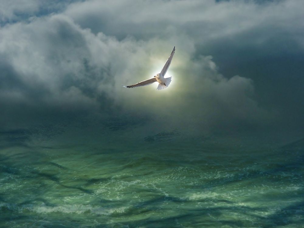 Fake Foto Foto & Bild | wasser, wolken, himmel Bilder auf fotocommunity