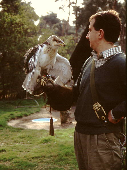 Falkner Foto & Bild | erwachsene, menschen Bilder auf fotocommunity
