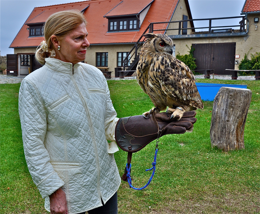 "Falknerei" 01 Foto & Bild | tiere, zoo, wildpark & falknerei, vögel Bilder auf fotocommunity