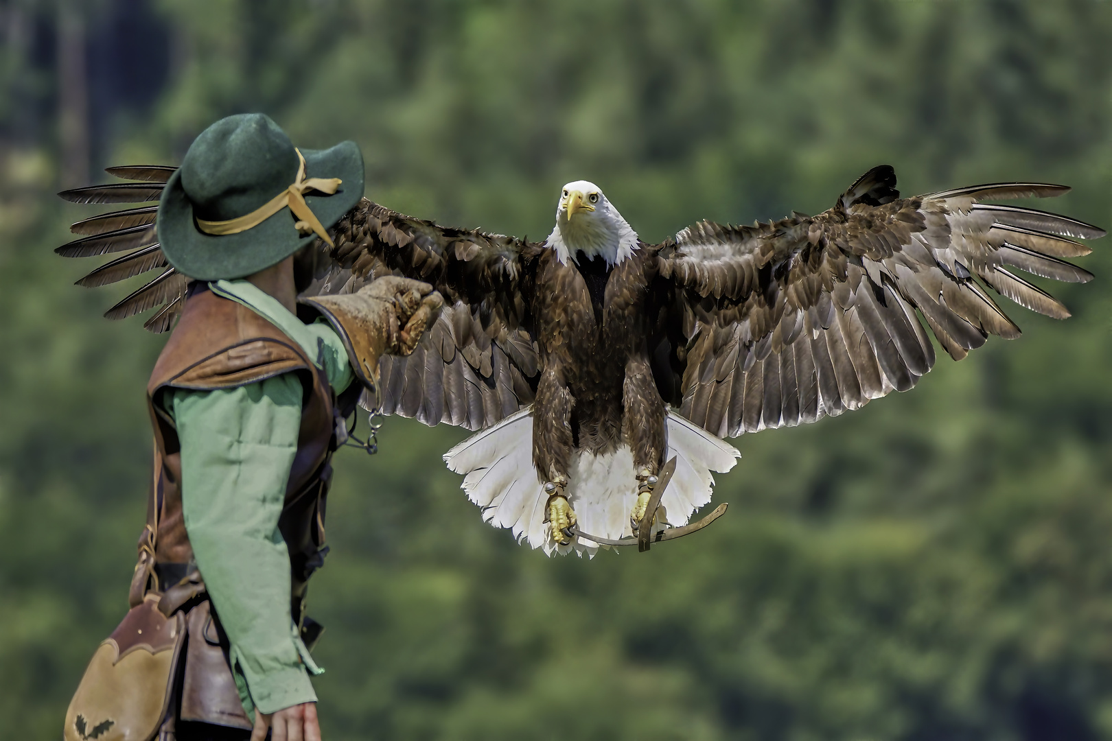 Falknerin.. Foto & Bild | tiere, natur Bilder auf fotocommunity