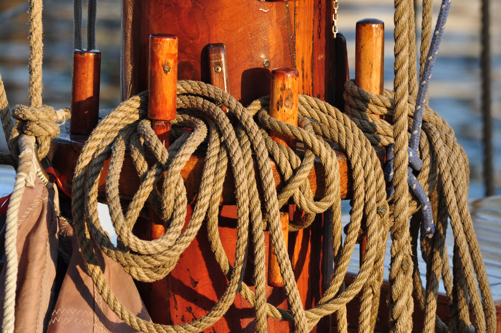 Fallen & Schoten belegen - der Klassiker Foto & Bild | deutschland ...