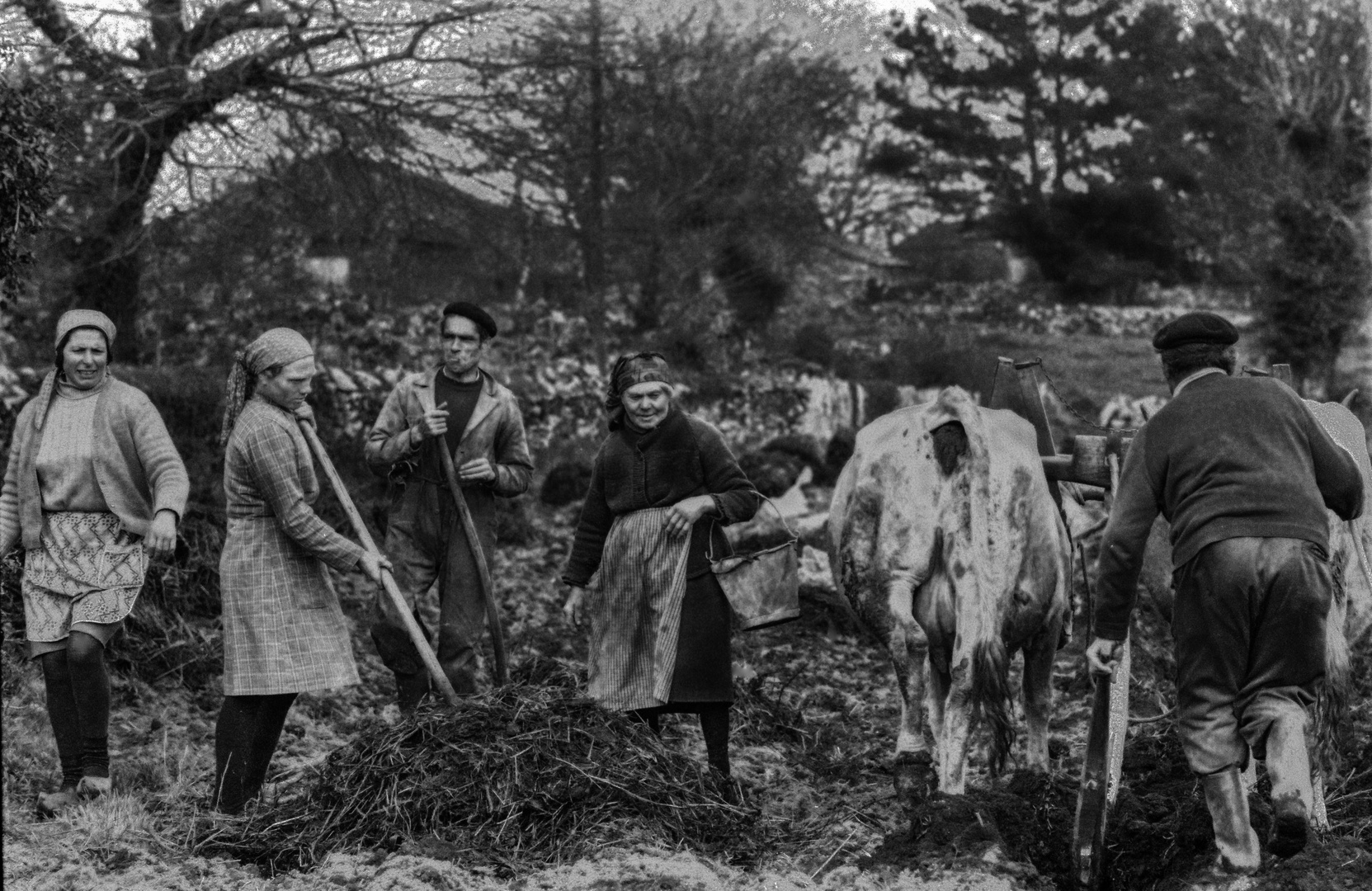 FAMILIA DE LABRIEGOS GALLEGOS Imagen & Foto | motivos, siglo xx labores ...