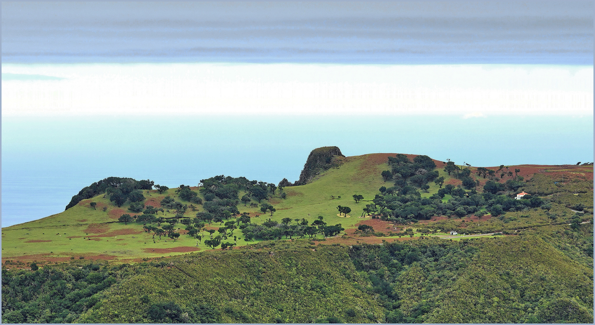 Fanal Foto & Bild | world, madeira, portugal Bilder auf fotocommunity