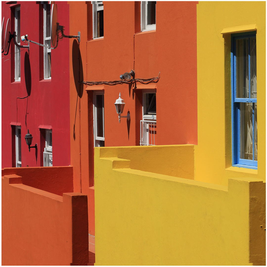 FANCY COLORS Foto & Bild | fotos, world, farben Bilder auf fotocommunity