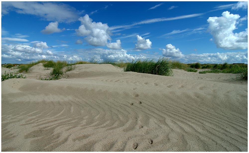 Fanö 2006 Foto & Bild | landschaft, meer & strand, fanö Bilder auf ...