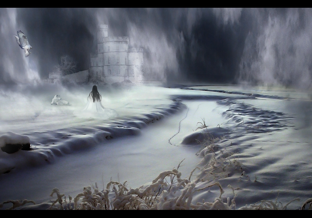 >> FANTASY MOMENTS Foto & Bild | fotomontage, fantasy mystery, sternschnuppen Bilder auf ...