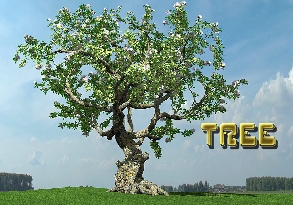 Fantasy-Tree Foto & Bild | rendering, landschaftsrendering, baum Bilder auf fotocommunity