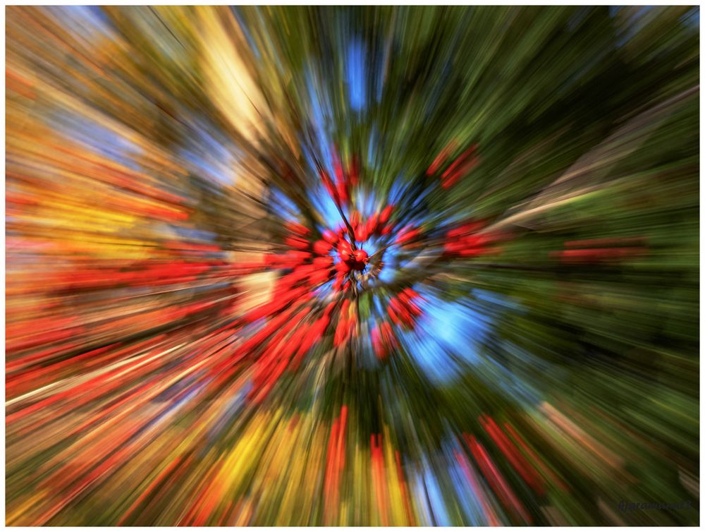 farb - explosion .... Foto & Bild | projekte, abstraktes, fotokunst ...