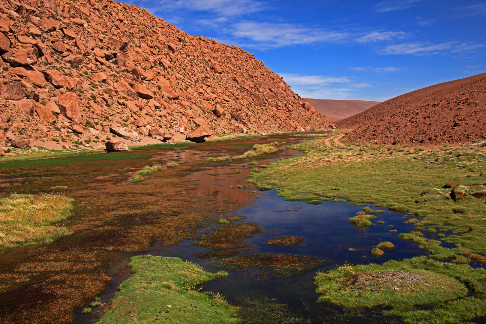 Farben in der Wüste Foto & Bild | landschaft, wüste, südamerika Bilder ...