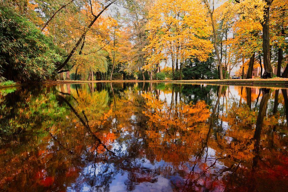 Farben-Spiegel Foto & Bild | landschaft, jahreszeiten, herbst Bilder auf fotocommunity