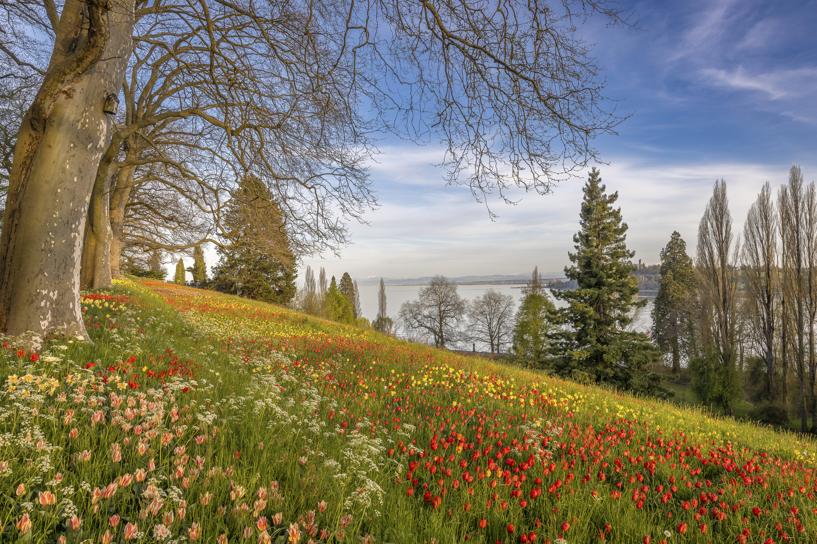 Farbenmeer Foto & Bild | fotos, spezial, bäume Bilder auf fotocommunity