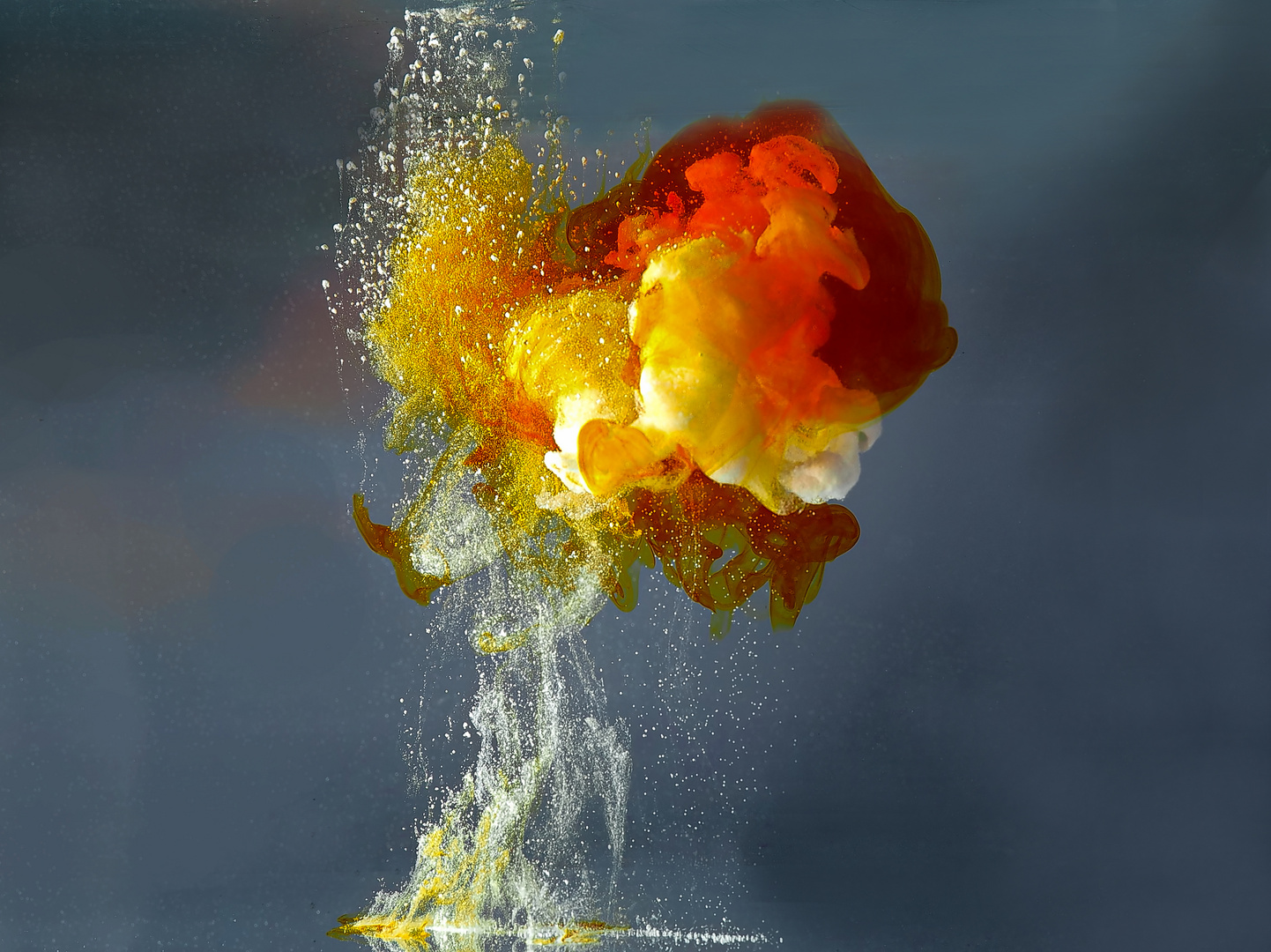 Farbexplosion Foto & Bild | colorfoto: farben, jury-voting, makro und ...