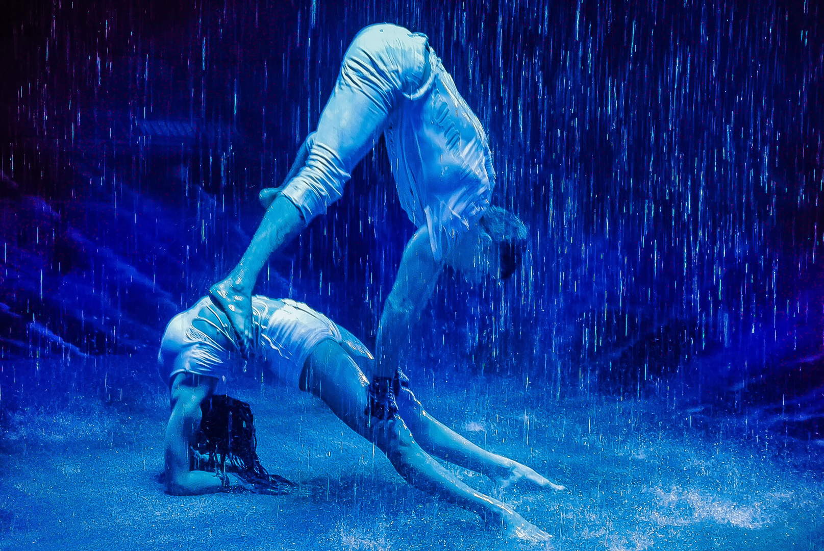 Farblos (30) Foto & Bild | dokumentation, circus, zirkus Bilder auf ...