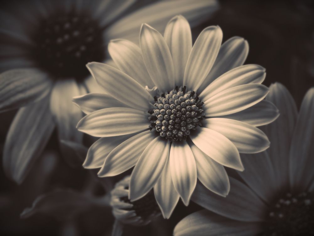 farblos Foto & Bild | natur-kreativ, aufnahmetechniken, natur fine art ...