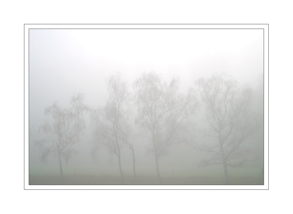 Farblos Foto & Bild | nebelstimmungen, wetter, natur Bilder auf ...