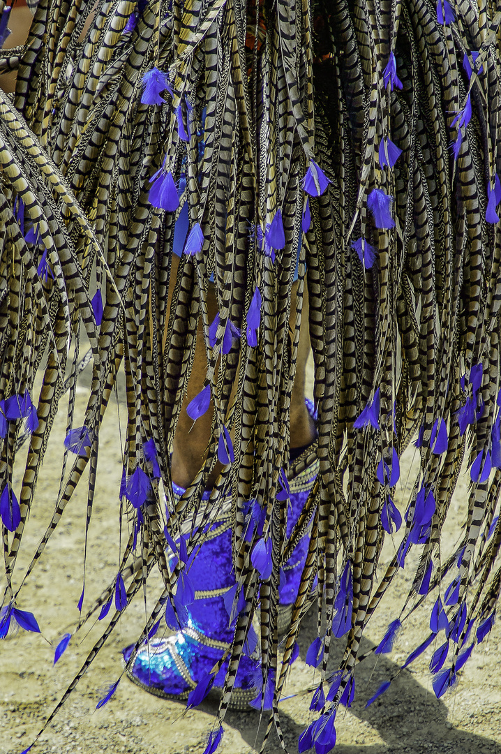 Fasanenfedern mit Pfauenauge Foto & Bild | sommer, hdr, event Bilder ...