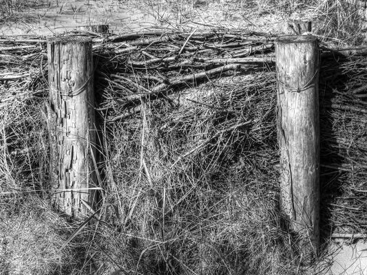 Dünen Bilder & Fotos